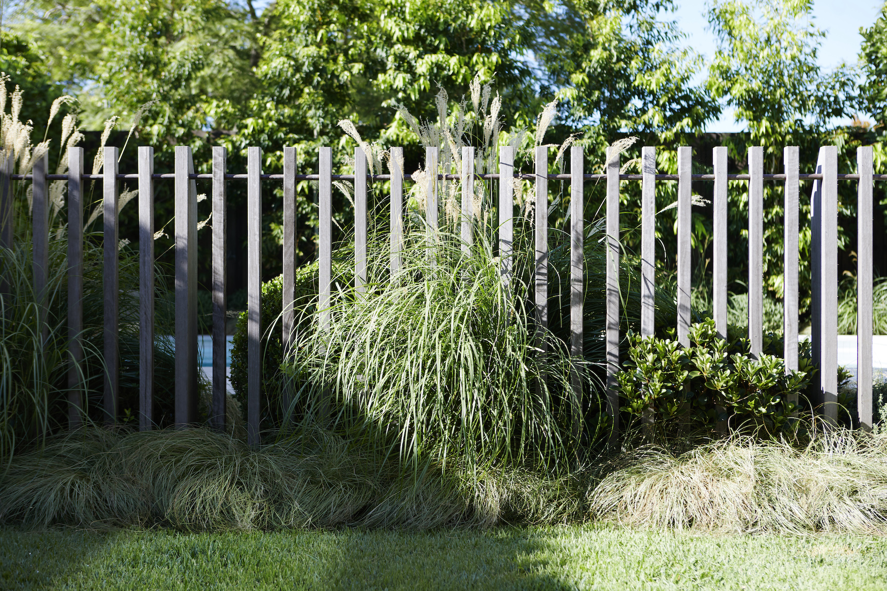 Lindfield, Sydney - Fifth Season Landscapes Australia